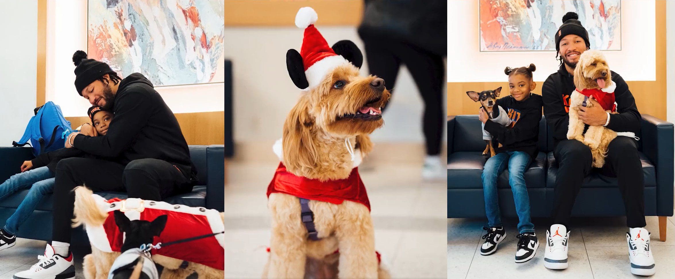 Paw-fect Day: Jalen Brunson kept his word to have a doggy play-date ...